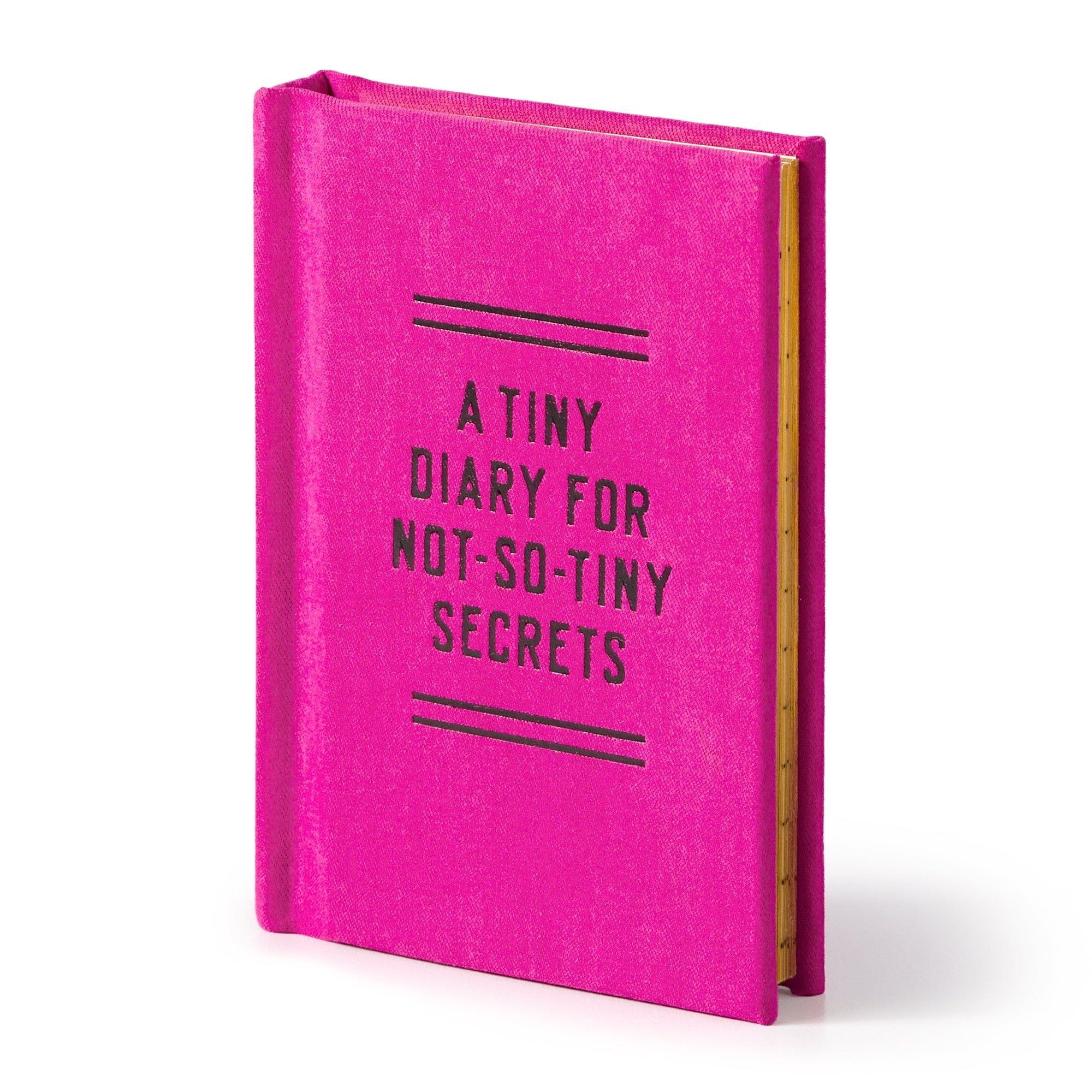 Tiny Diary for Not So Tiny Secrets | Galison