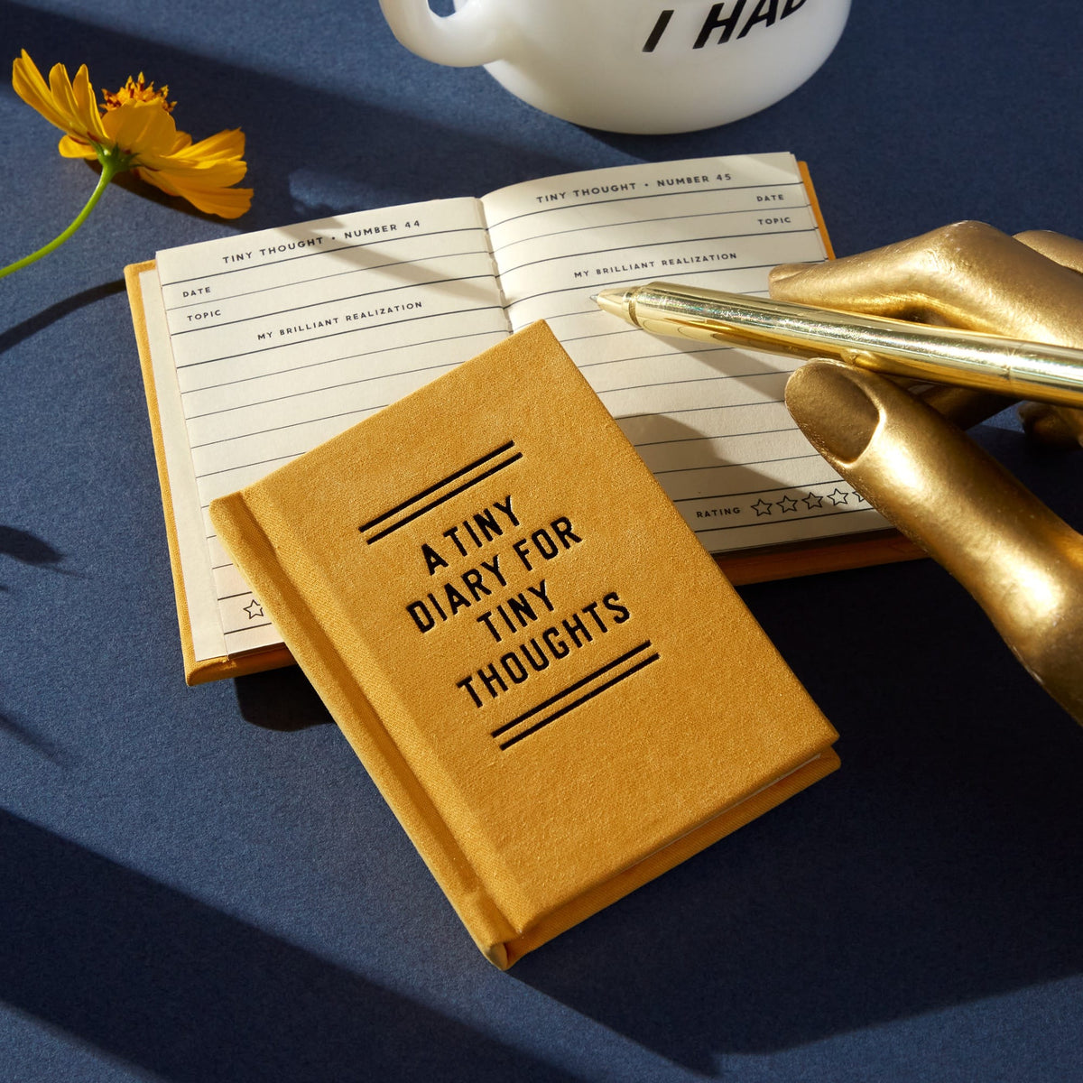 A Tiny Diary For Tiny Thoughts Galison
