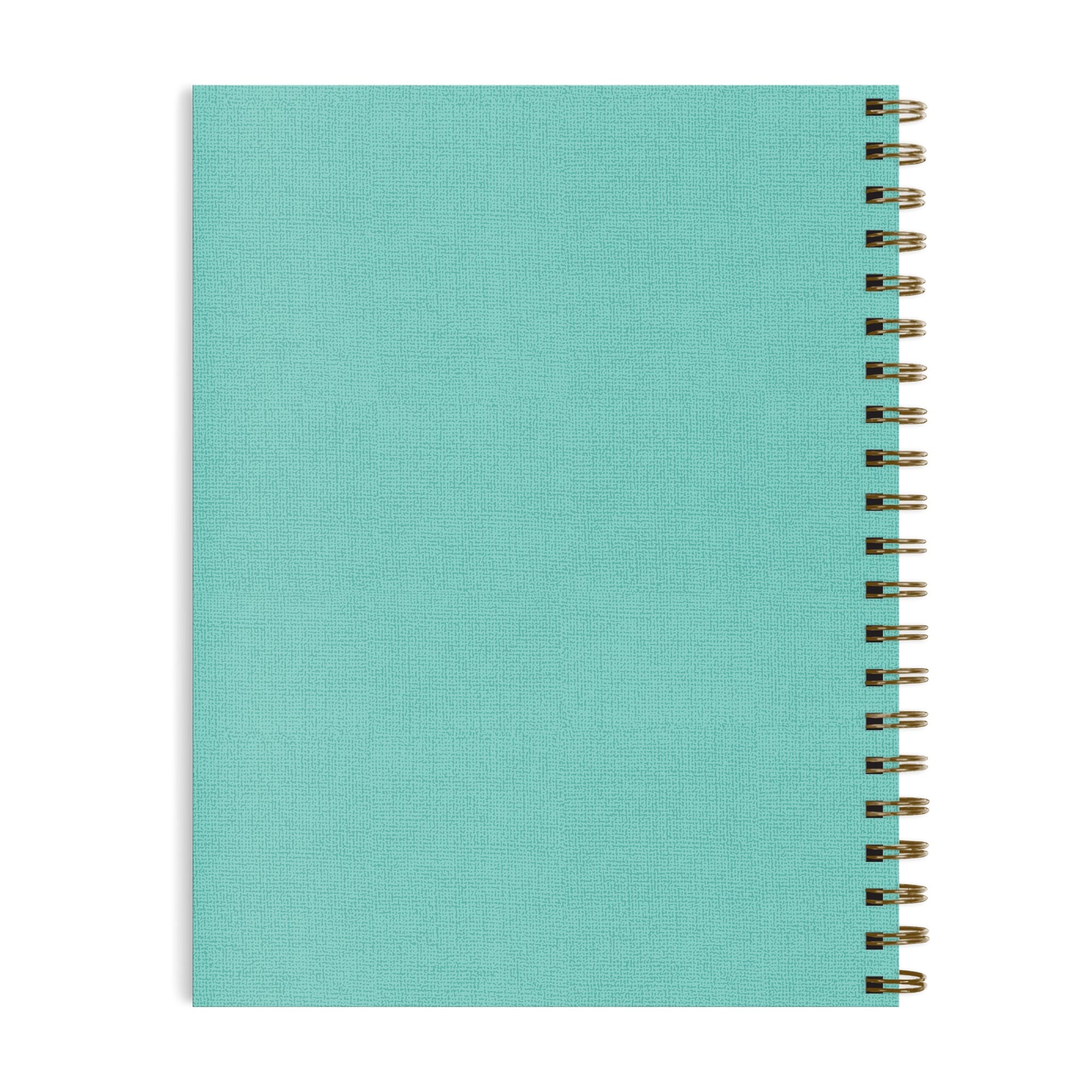 Jean-Michel Basquiat Inspirational Sketchbook – Galison