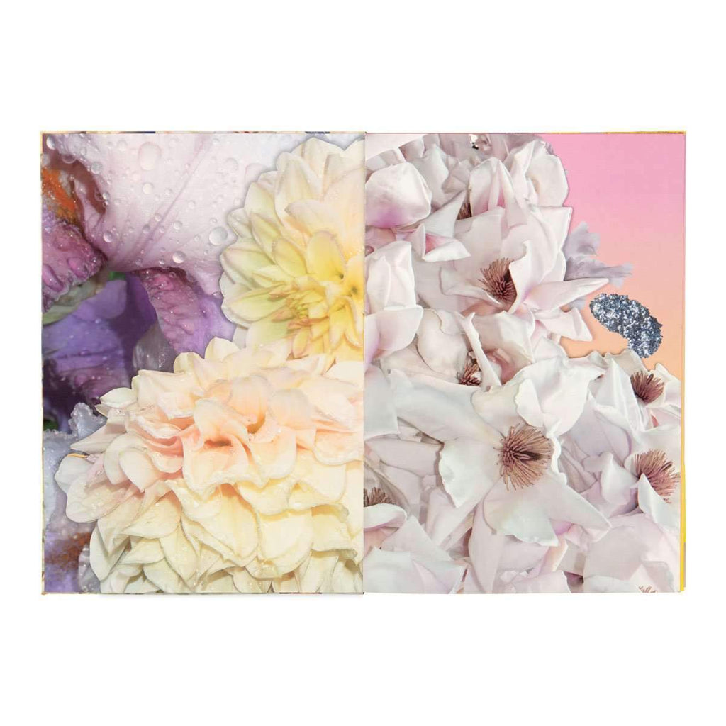 The Art Series - Catherine Larré A5 Notebook | Galison