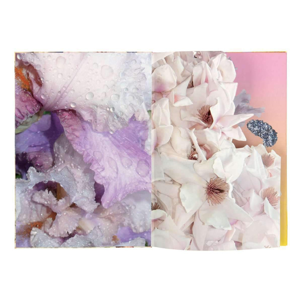 The Art Series - Catherine Larré A5 Notebook | Galison